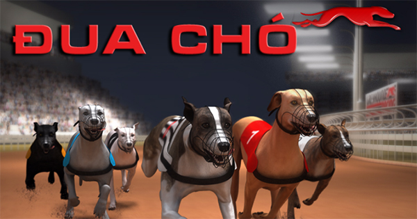 Game Đua chó - Greyhound Racing - Game Vui