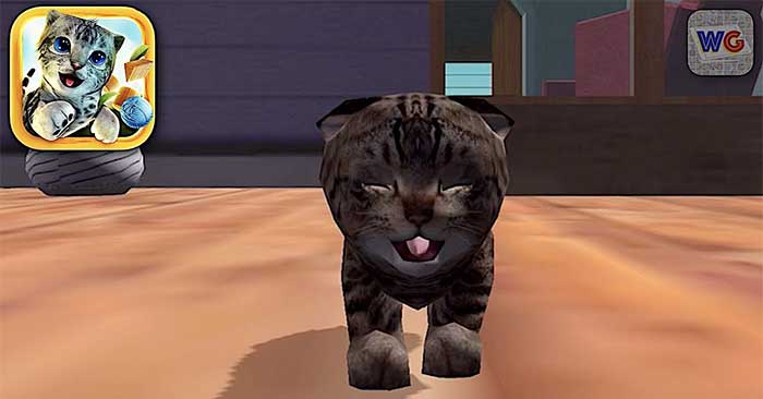 Top 6 game nuôi mèo hay nhất trên di động - GameVui.vn